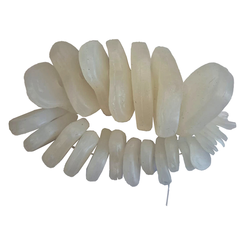 Discos Intervertebrais | MogiGlass Anatomia e Simulação