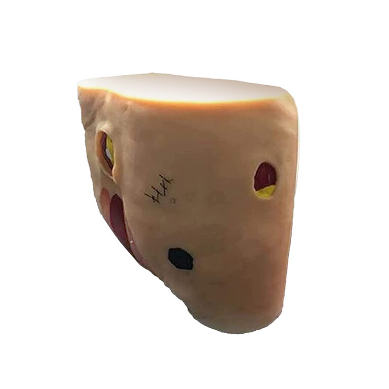 Simulador para Tratamento de Úlcera do Decúbito | MogiGlass Anatomia e ...